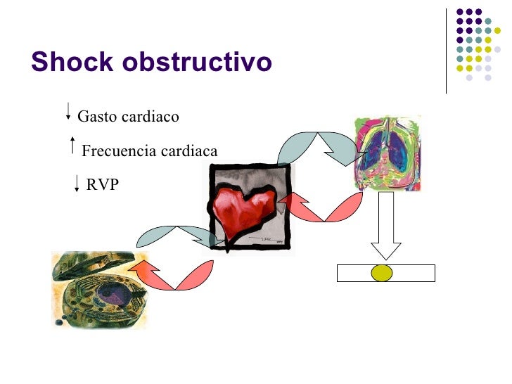 Fisiopatologia Del Shock