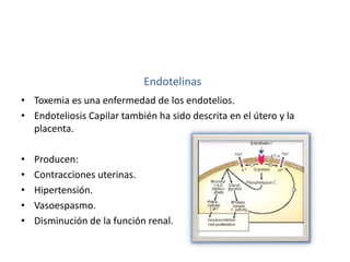 Fisiopatologia de trastornos hipertensivos del embarazo | PPTX