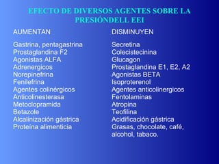 Fisiopatologia digestivo | PPT