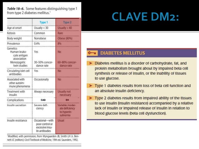 Fisiopatologia dm2 | PPTX