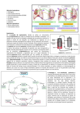 Fisiopatologia epoc epid | DOCX