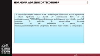 FISIOPATOLOGIA HIPOFISIS.pptx