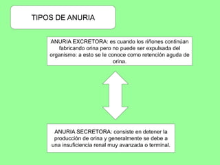 Intro Fisiopatología Renal | PPTX