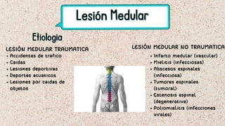 Fisiopatologia Patologías neurologicas, sistema nervioso central ...