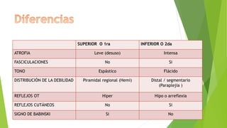 Fisioptalogia medular | PPTX