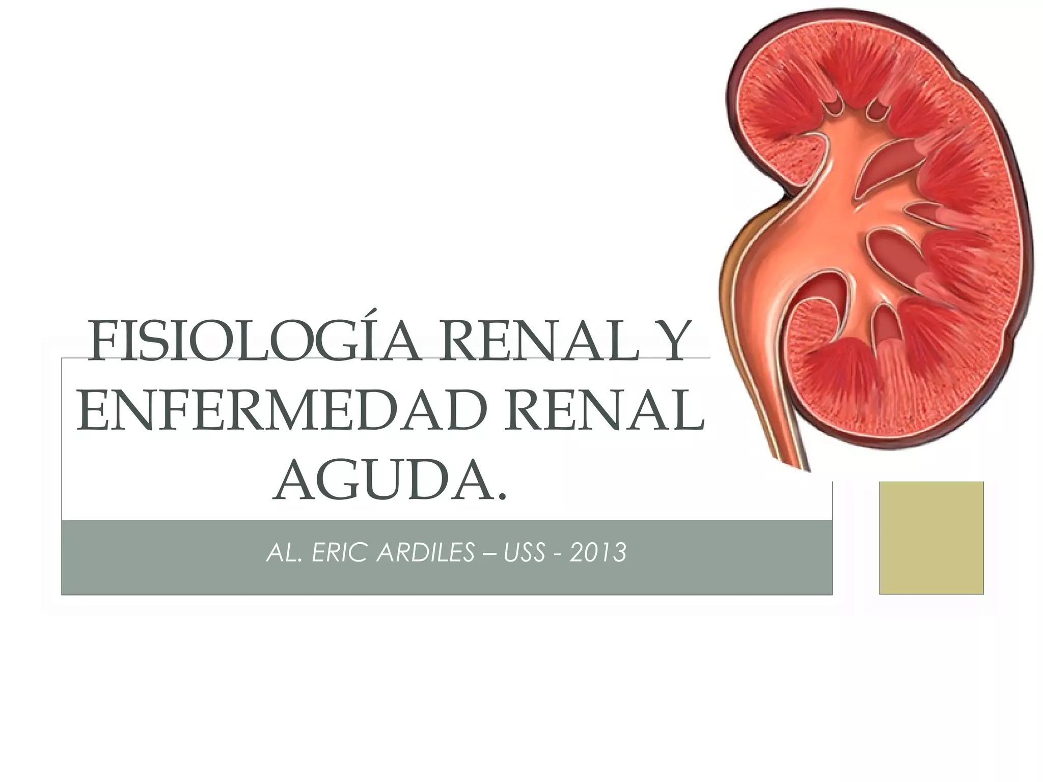 Fisio Renal y Enfermedad Renal Aguda - Eric Ardiles - AL II ENF USS ...