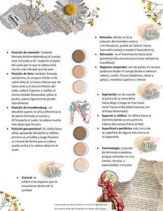 fisioterapia-glosari-166036-downloadable-2285310.pdf