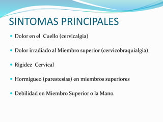 Fisioterapia 2 columna cervical | PPTX