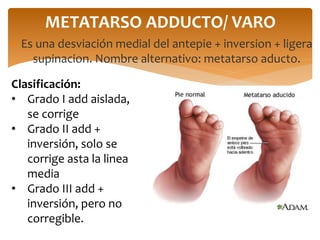 Fisioterapia en pediatria tema: alteraciones de los pies | PPTX
