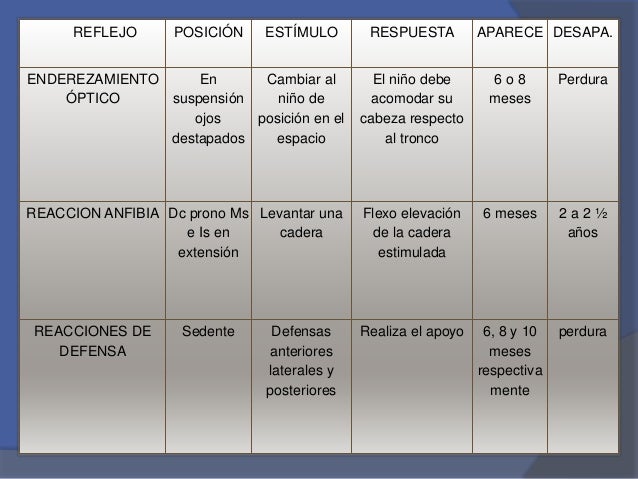 Fisioterapia neuro infantil