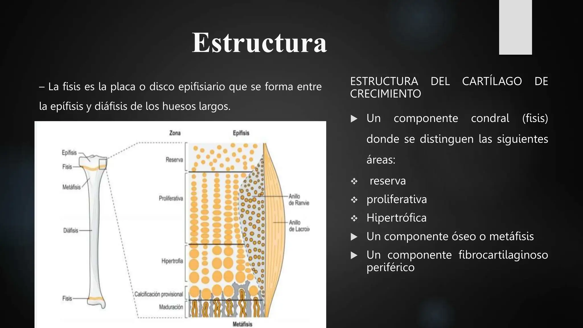 Fisis de crecimiento.pptx