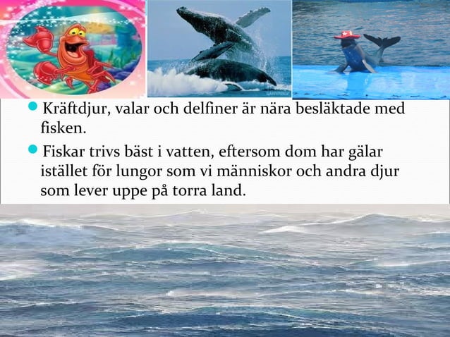 Fiskar | PPT