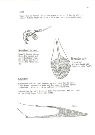 Fiske Og Redskaper | PDF