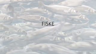 Fiske | PPTX
