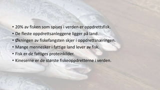 Fiske | PPTX