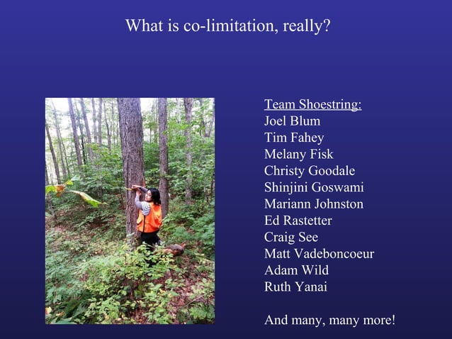 What is co-limitation, really? | PPT