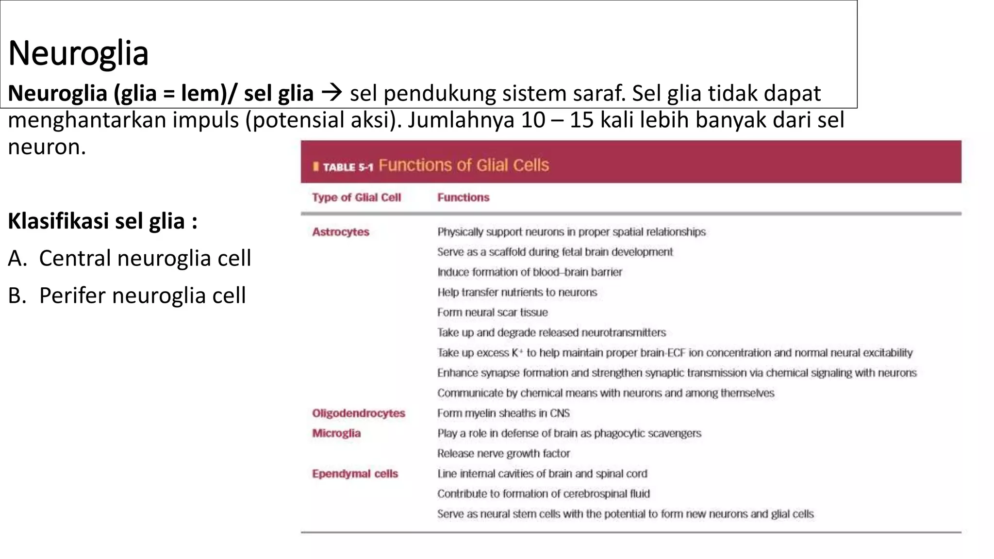 fiso dan histo.pptx