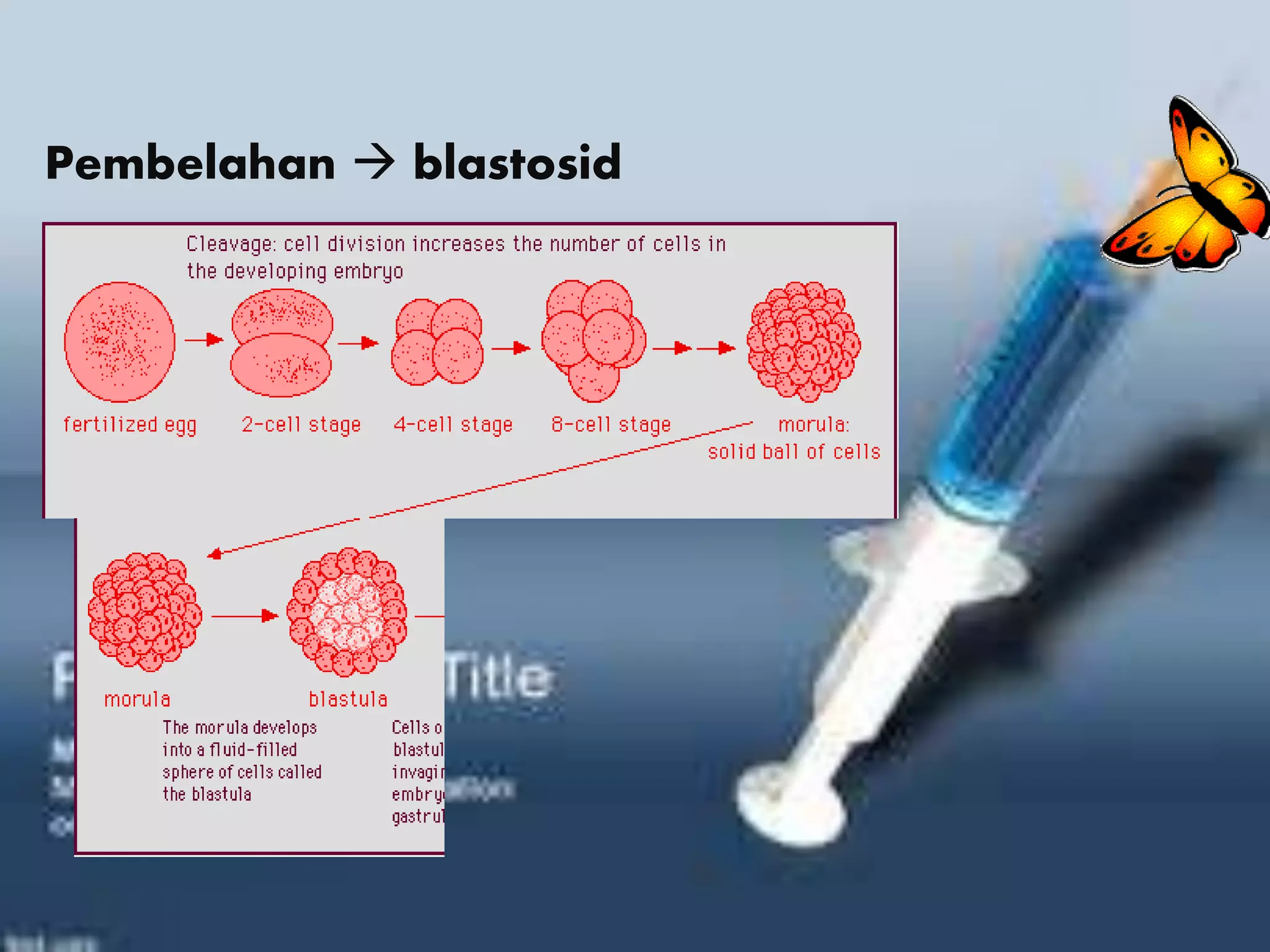 proses kebuntingan dan partus sapi | PPTX