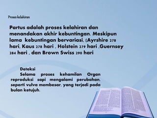 proses kebuntingan dan partus sapi | PPTX