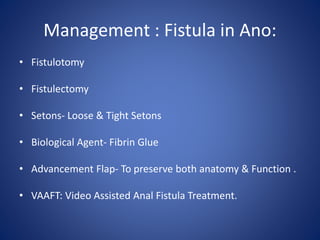 Fissure and fistula | PPTX