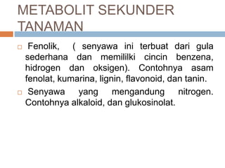 Fistan materi 1 metabolit primer dan sekunder | PPTX
