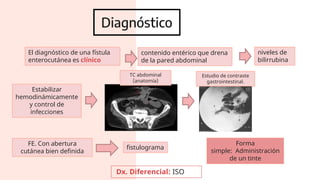 Fistula enterocutánea-Curso de CirugíaIx | PPTX