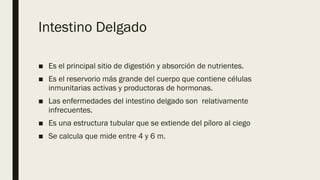 Fistulas intestinales presentacion.pptx.... | PPTX