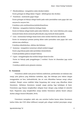 Enzim dan Fotosintesis | PDF