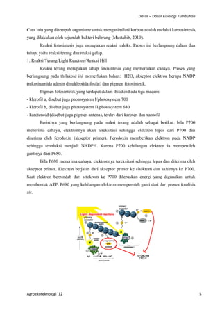 Enzim dan Fotosintesis | PDF