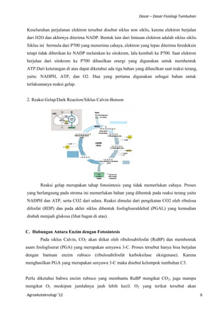 Enzim dan Fotosintesis | PDF