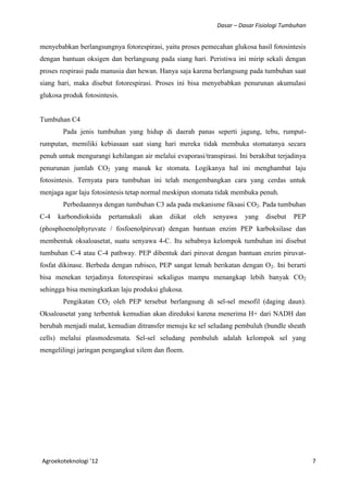 Enzim dan Fotosintesis | PDF