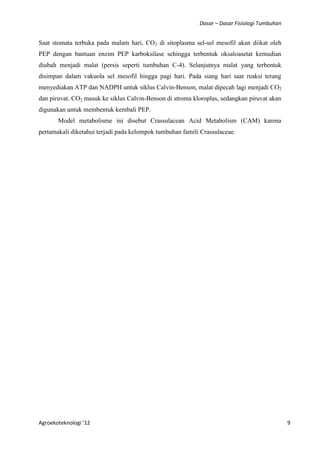 Enzim dan Fotosintesis | PDF