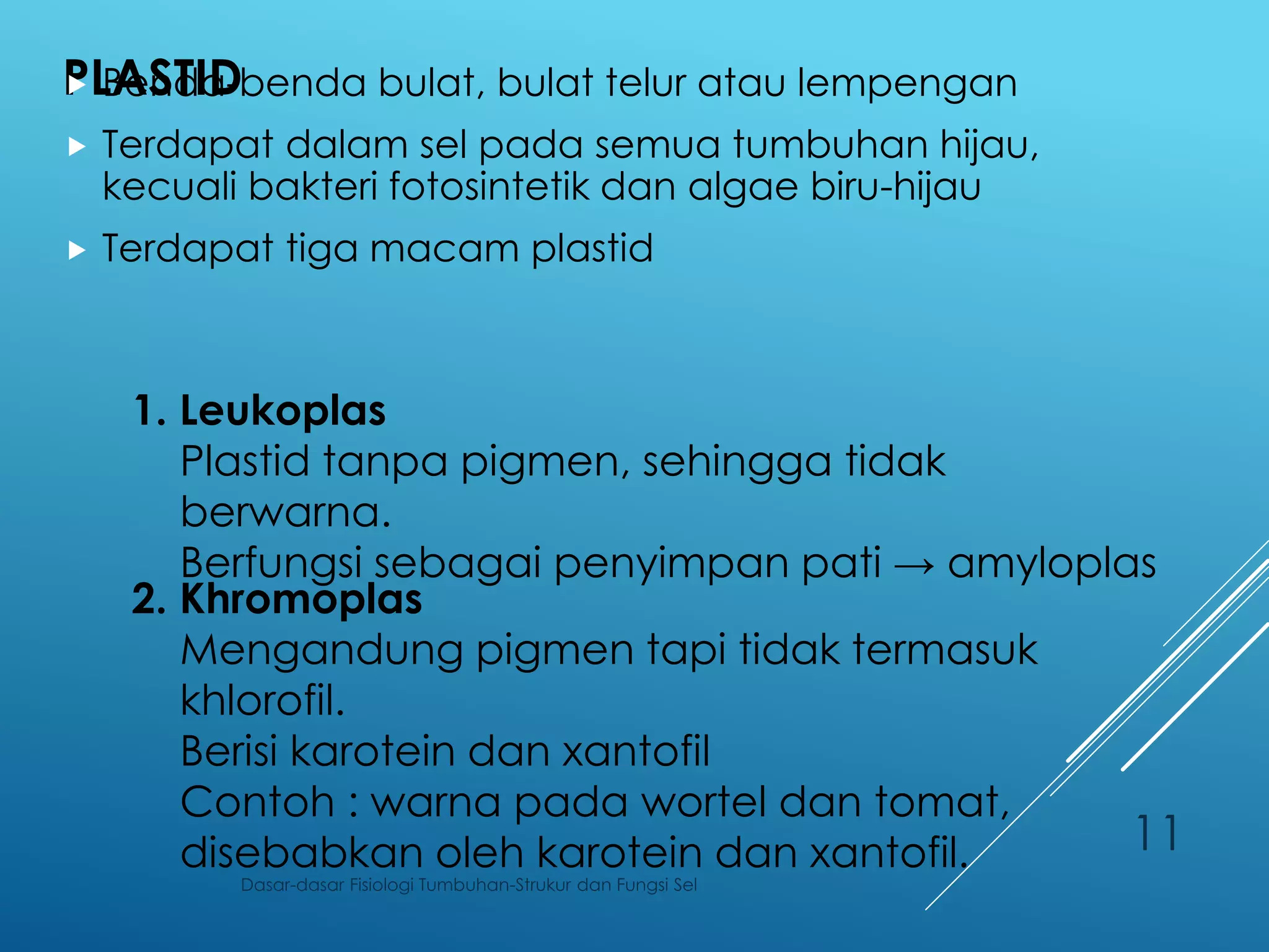 FISTUM_2. STRUKTUR DAN FUNGSI SEL.pdf