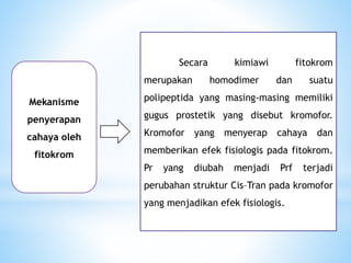 FISTUM KEL 3 FOTOPERIODISME.pptx
