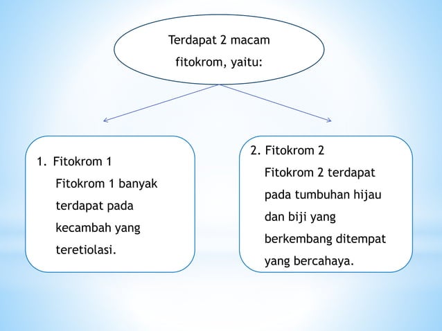 FISTUM KEL 3 FOTOPERIODISME.pptx