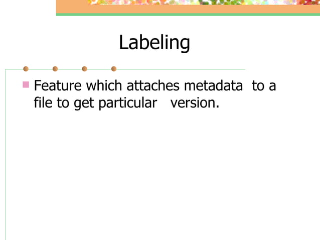 Fist Vss Source Code Management Techniques | PPT