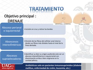 Fisura, absceso y fistula anal | PPTX