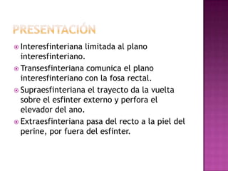 Fisuras anales | PPT