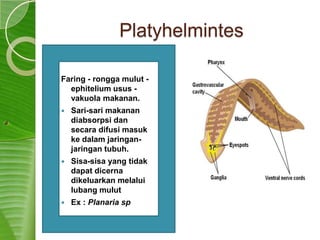 Sistem Pencernaan Hewan | PPTX