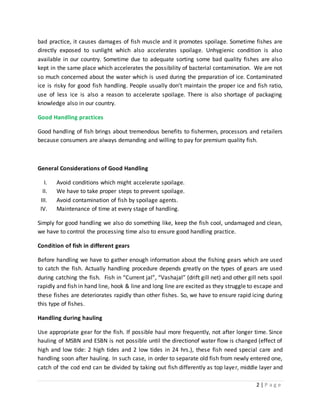 Post Harvest Handling of Fish | DOCX