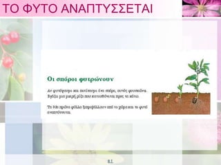 ΦΥΤΑ | PPT