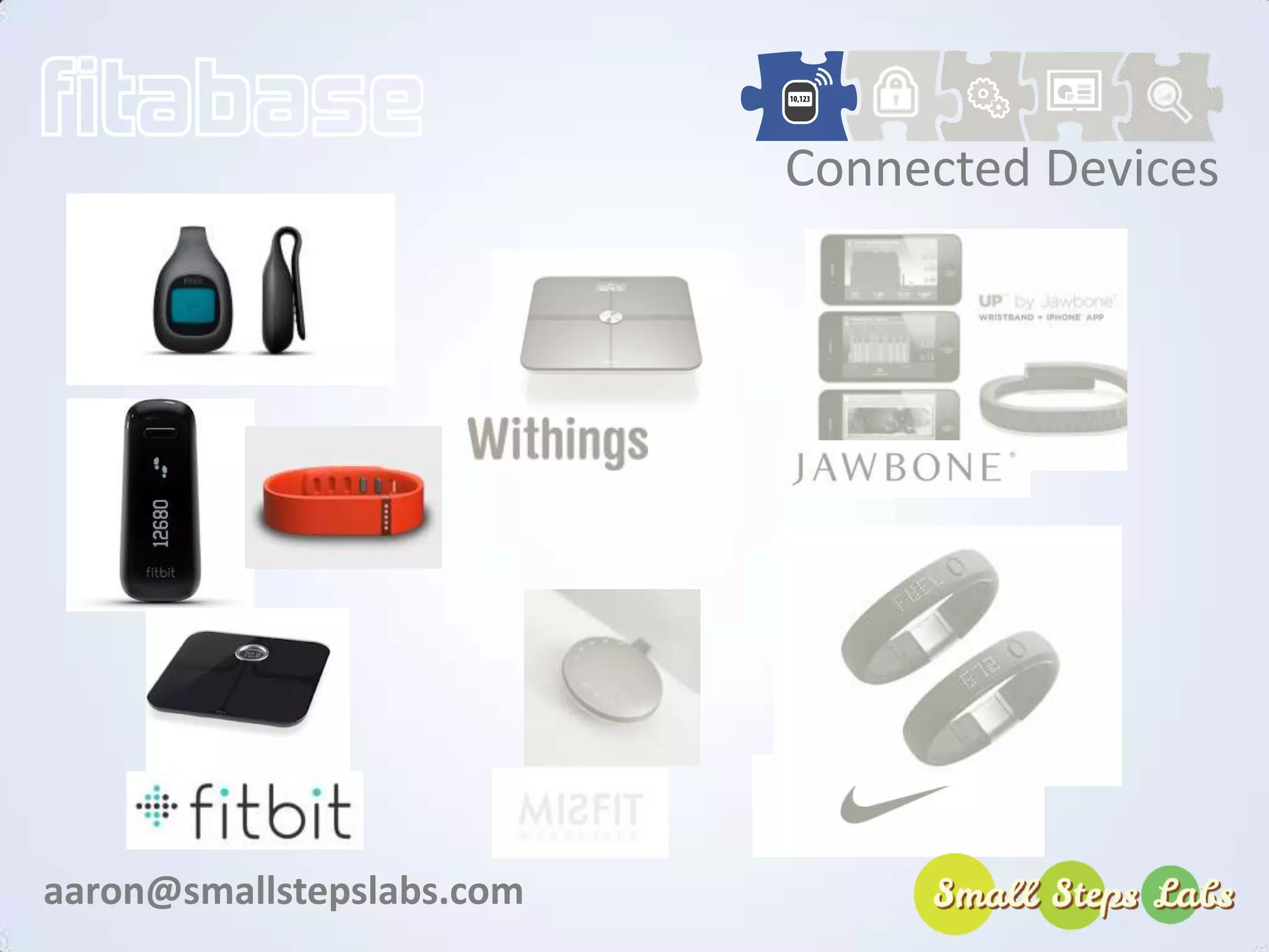 Fitabase at SBM - Lightning Talk | PPTX