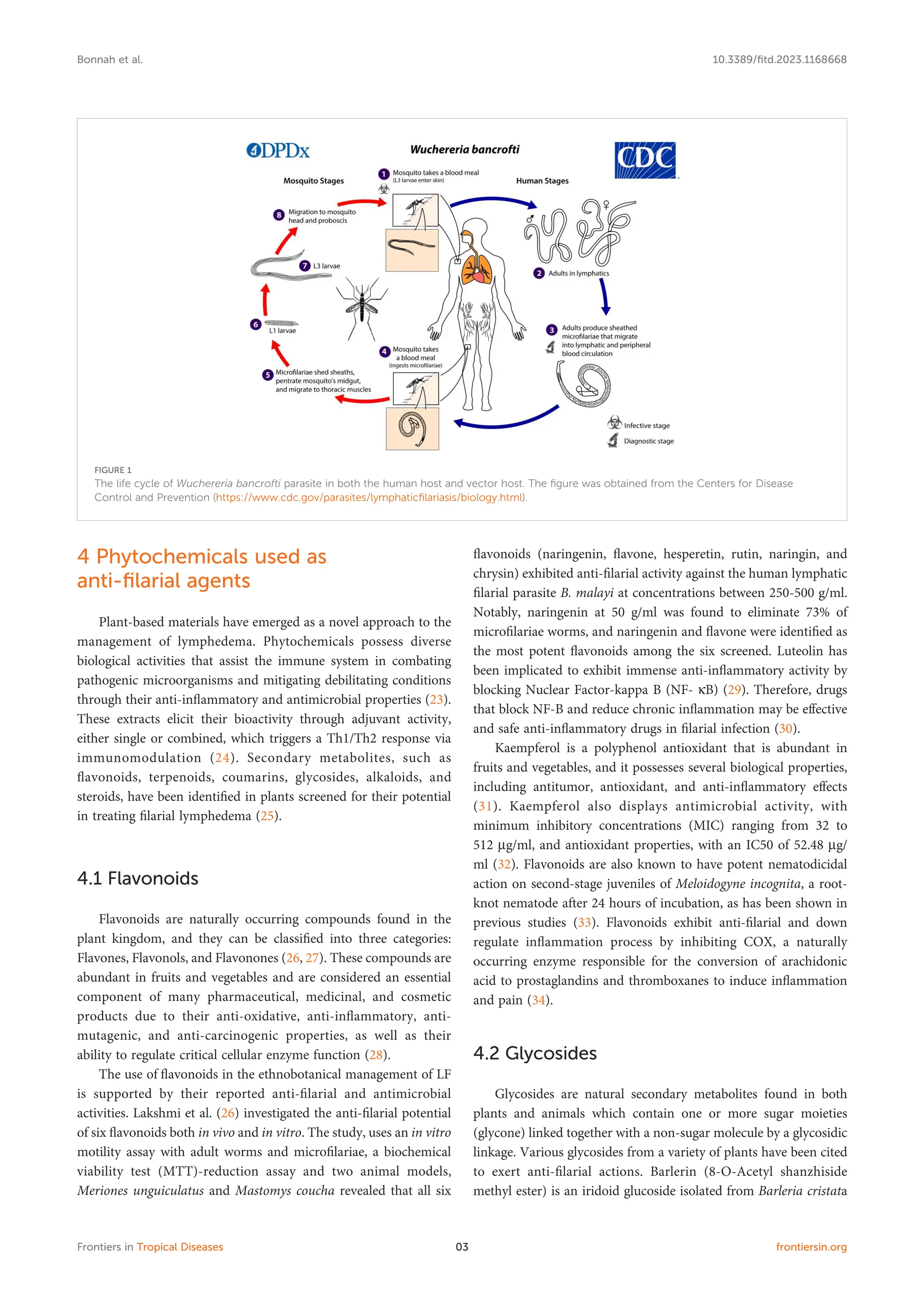 Phytochemical Intervention Lymphatic Filariasis | PDF