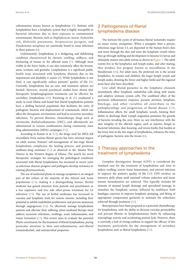 Phytochemical Intervention Lymphatic Filariasis | PDF