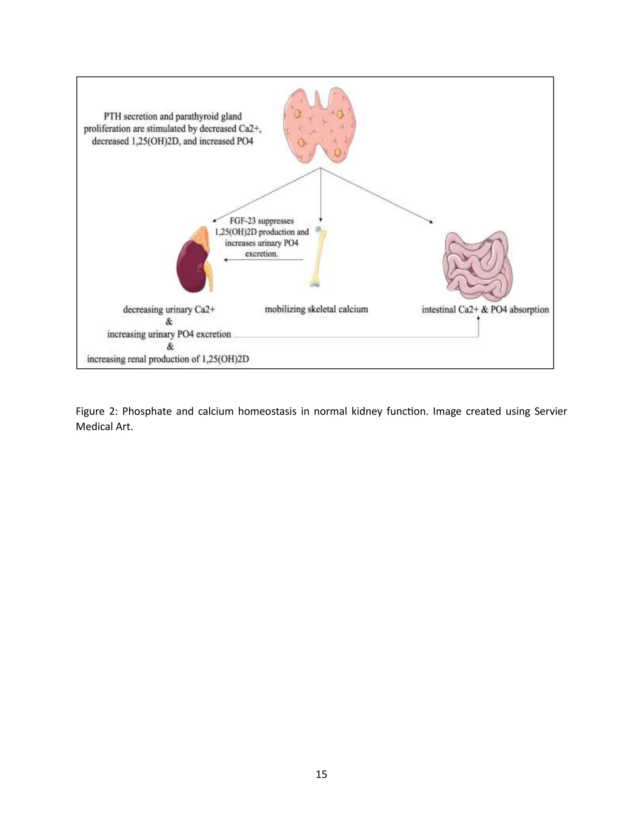Uremic Leontiasis Ossea | DOCX