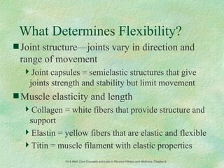 Fitness flexibility - 4th eso | PPT