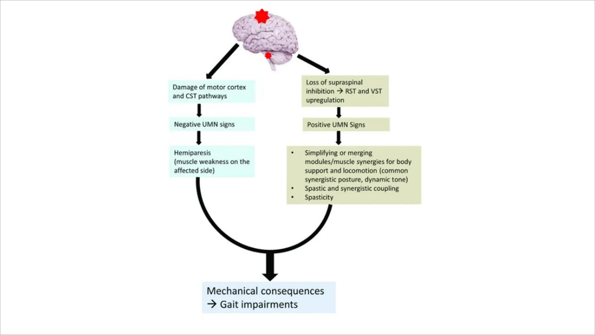 Latihan Fitness And Mobility Exercise (FAME) Pada Pasien Stroke | PDF