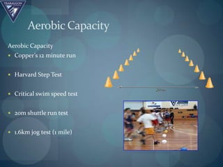 Fitness assement | PPTX