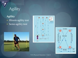 Fitness assement | PPTX