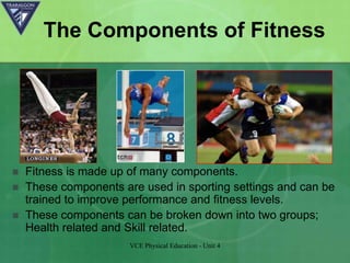 Fitness components | PPTX